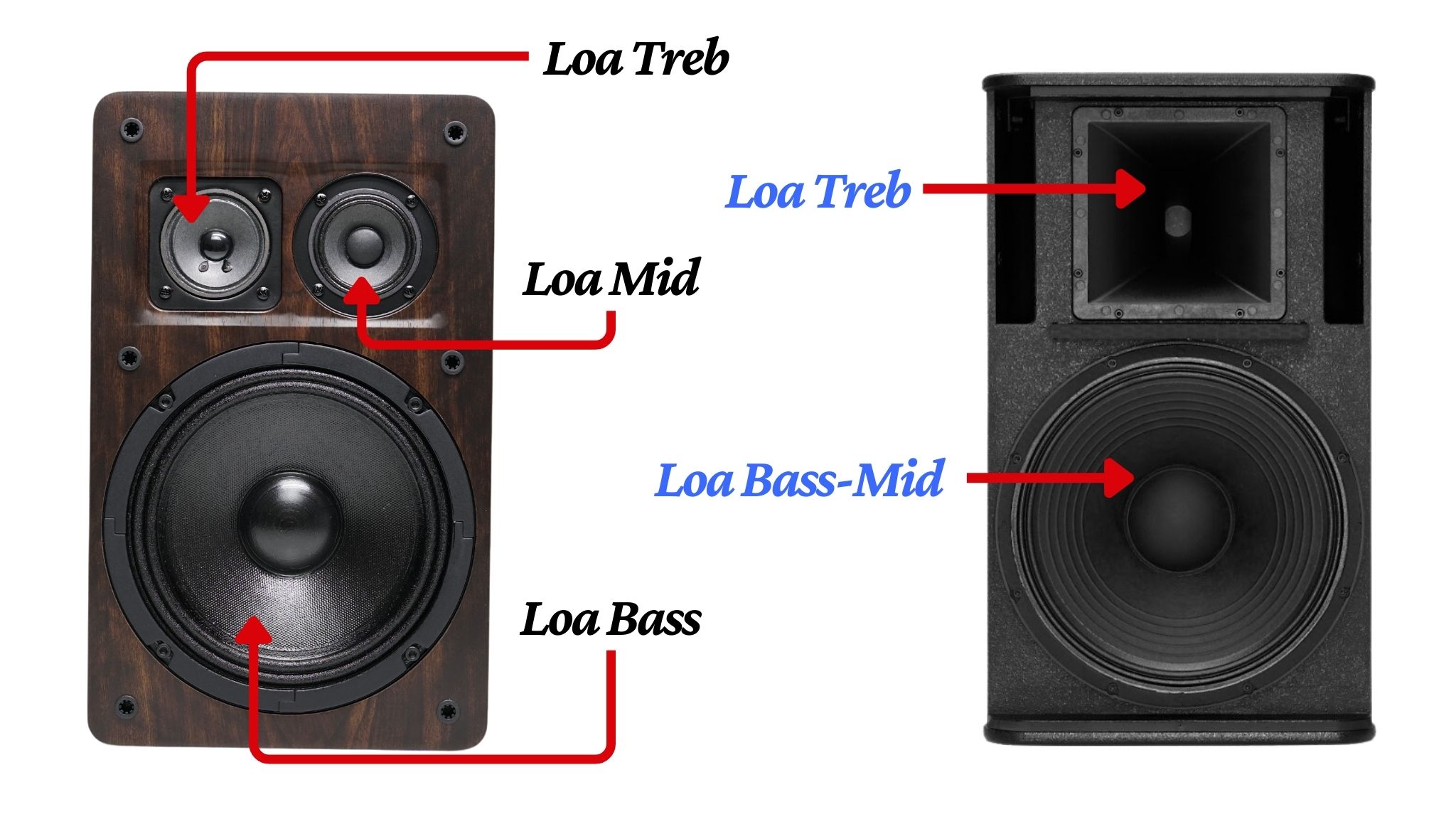 So Sánh Loa 3 Đường Tiếng và Loa 2 Đường Tiếng: Sự Khác Biệt và Ưu Nhược Điểm